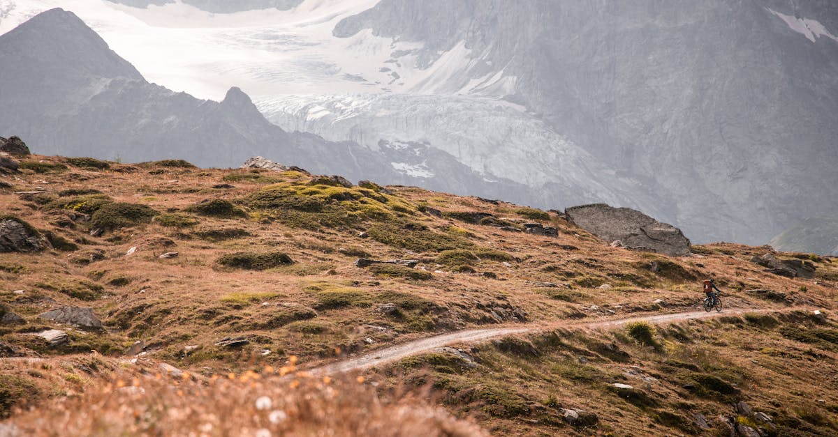 Exploring 2024's Thrilling Mountain Biking Trails in Santa Cruz: A ...